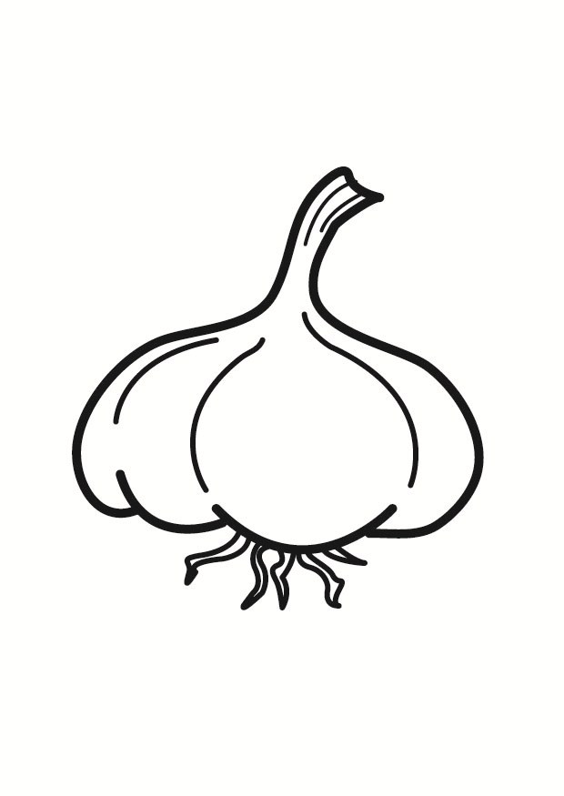 Knoflook Tekening Clipart Knoflook Groente Schetsen Hand Getrokken In