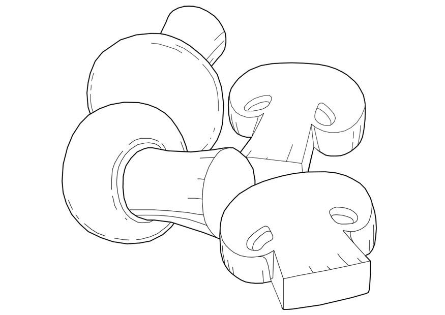 Coloriages De Champignons Trippants Psychédélique Champignon Paon